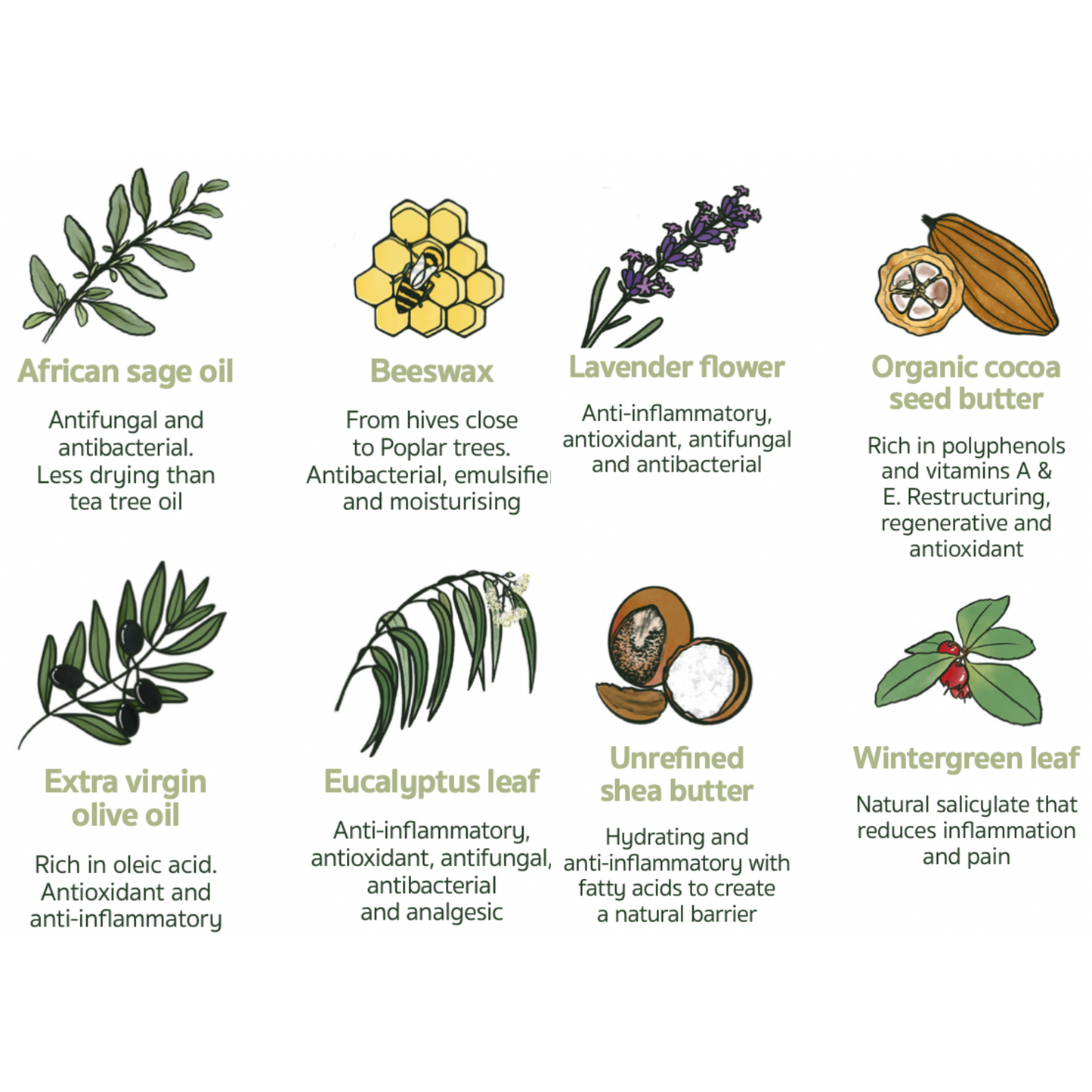 Nail Health and Polybalm: A Complete Guide – The Probiotic Store
