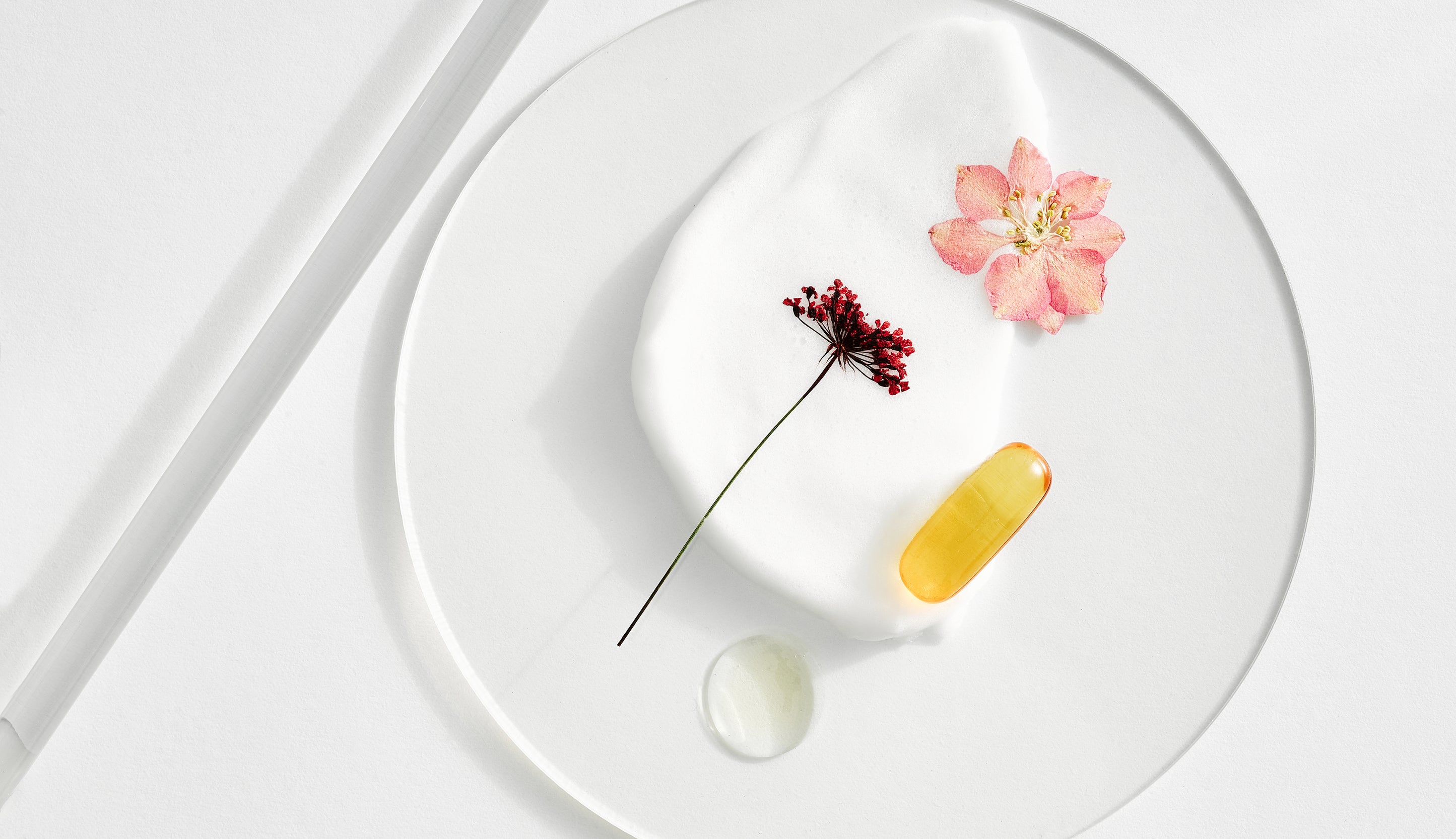 The Probiotic Store | Auckland, New Zealand