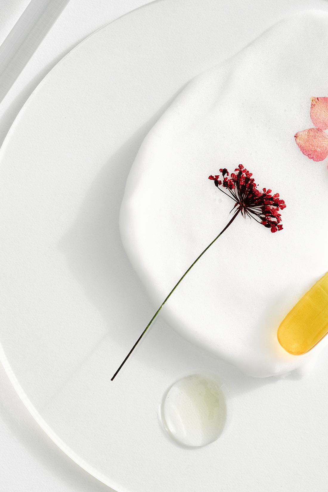 The Probiotic Store | Auckland, New Zealand
